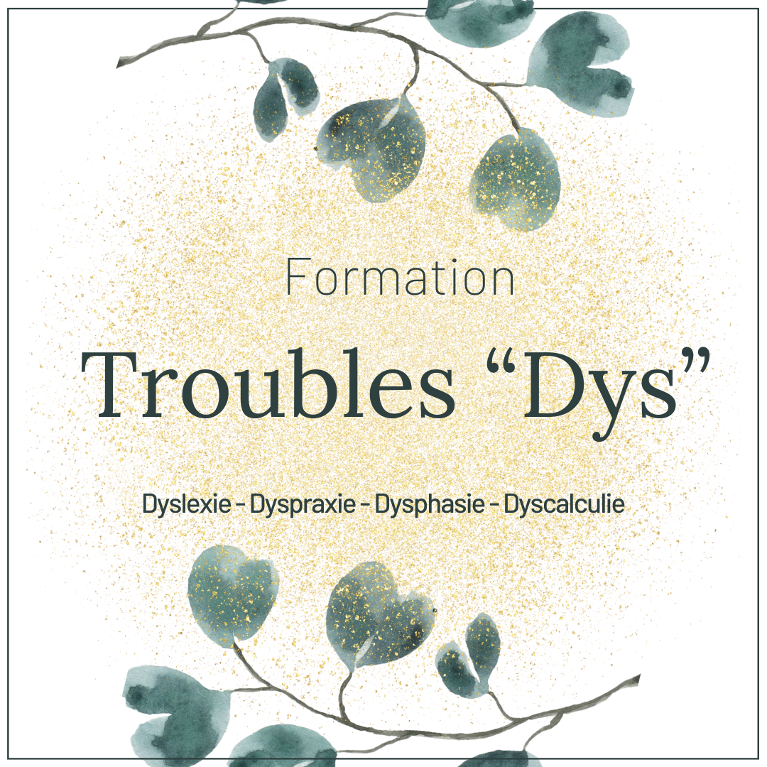 Formation DYS - Enseignaidant